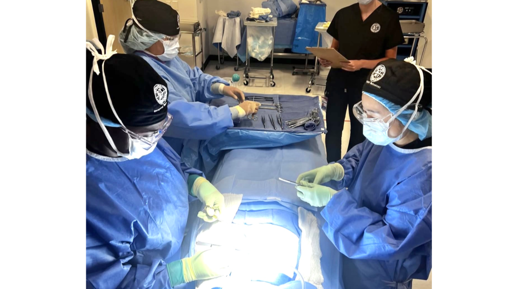 GiveSendGo | Help Kara Cross the Finish Line in Nursing School