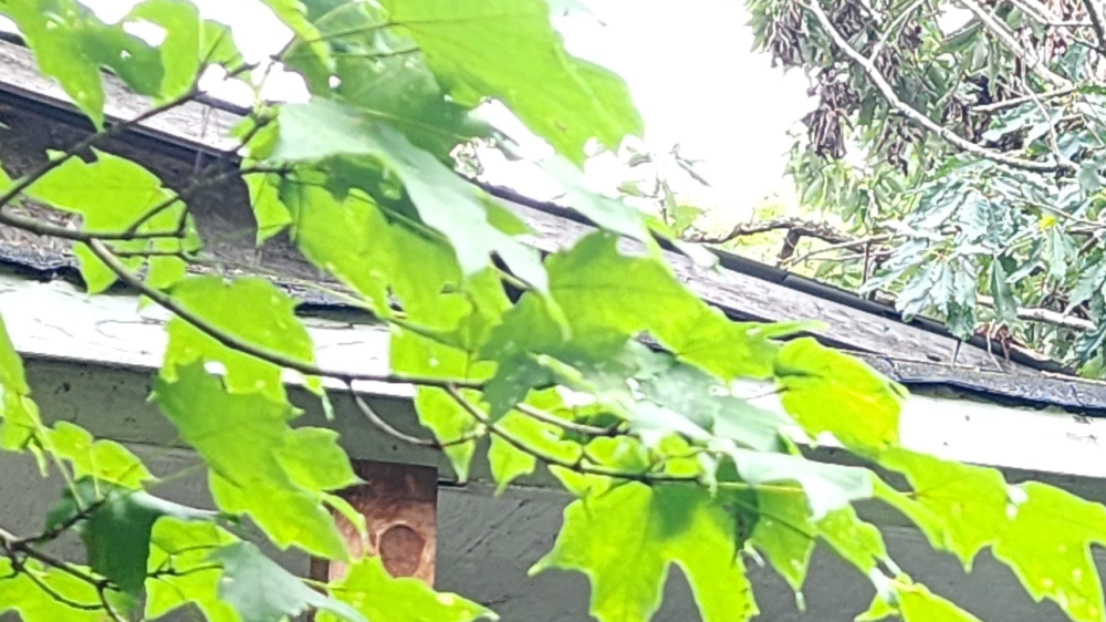 GiveSendGo | Repair my old house no heat for 22 years