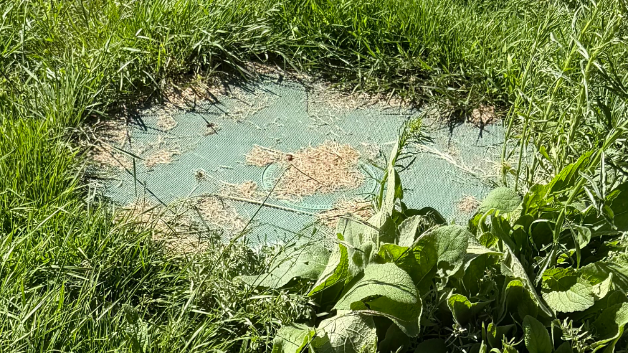 Septic system repairs | GiveSendGo
