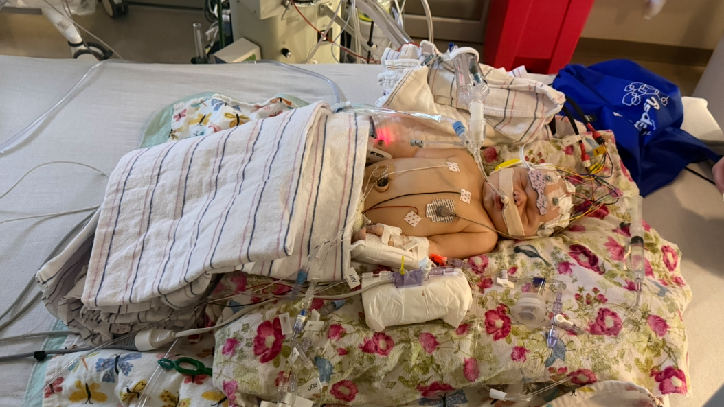 Fundraiser Unavailable | GiveSendGo