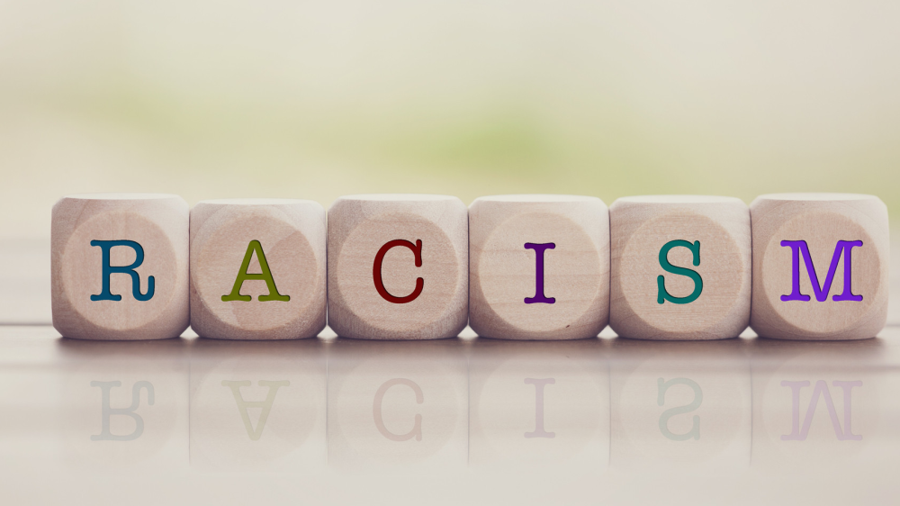 GiveSendGo | Help make racism great again